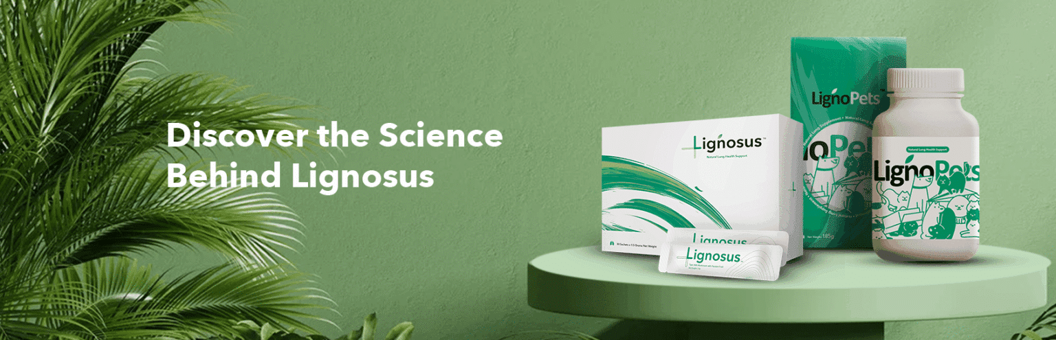 Clinical Studies | Lignosus